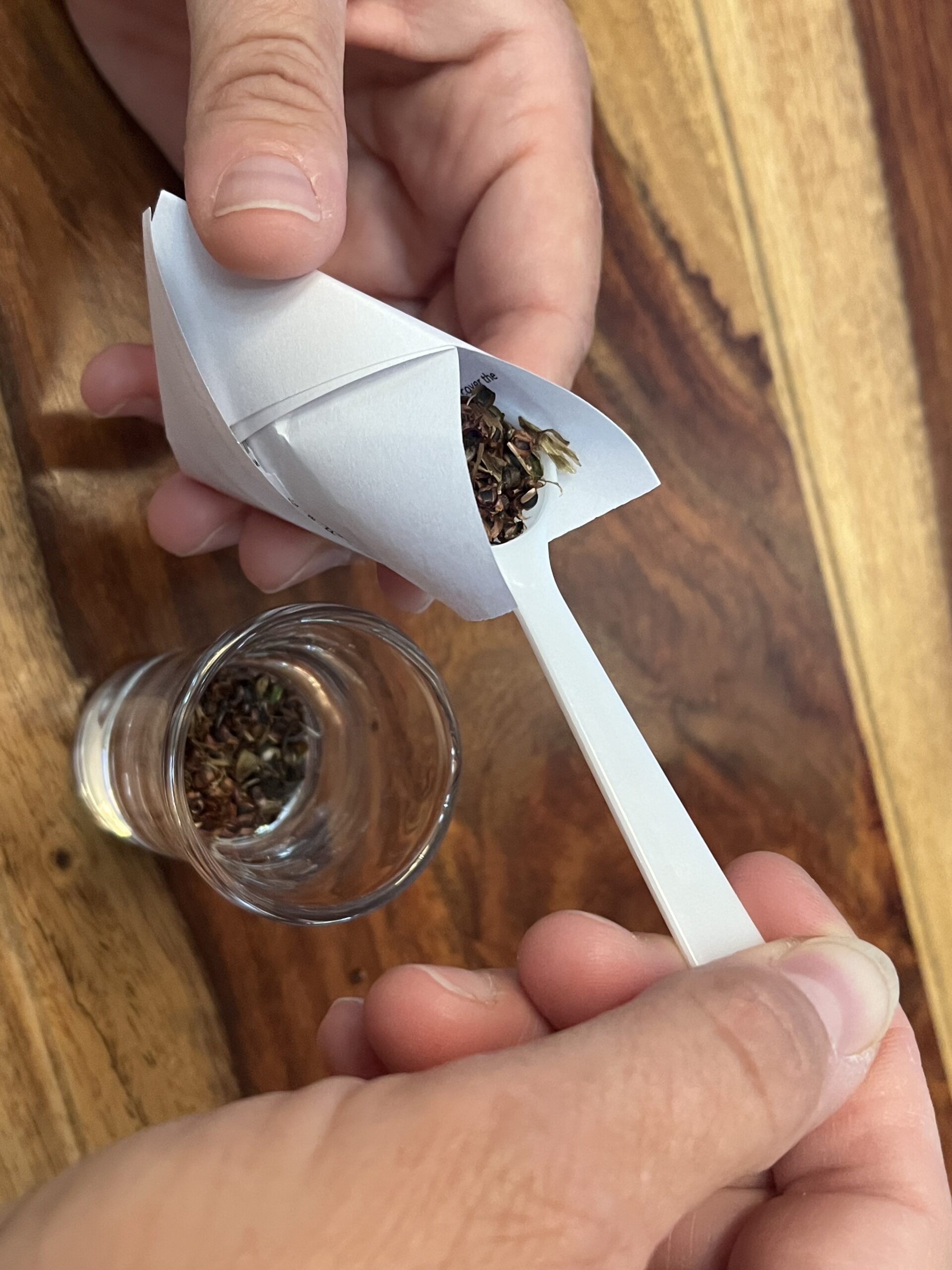 Donate seeds | Native Seed Donation by Ottawa Wildflower Seed Library